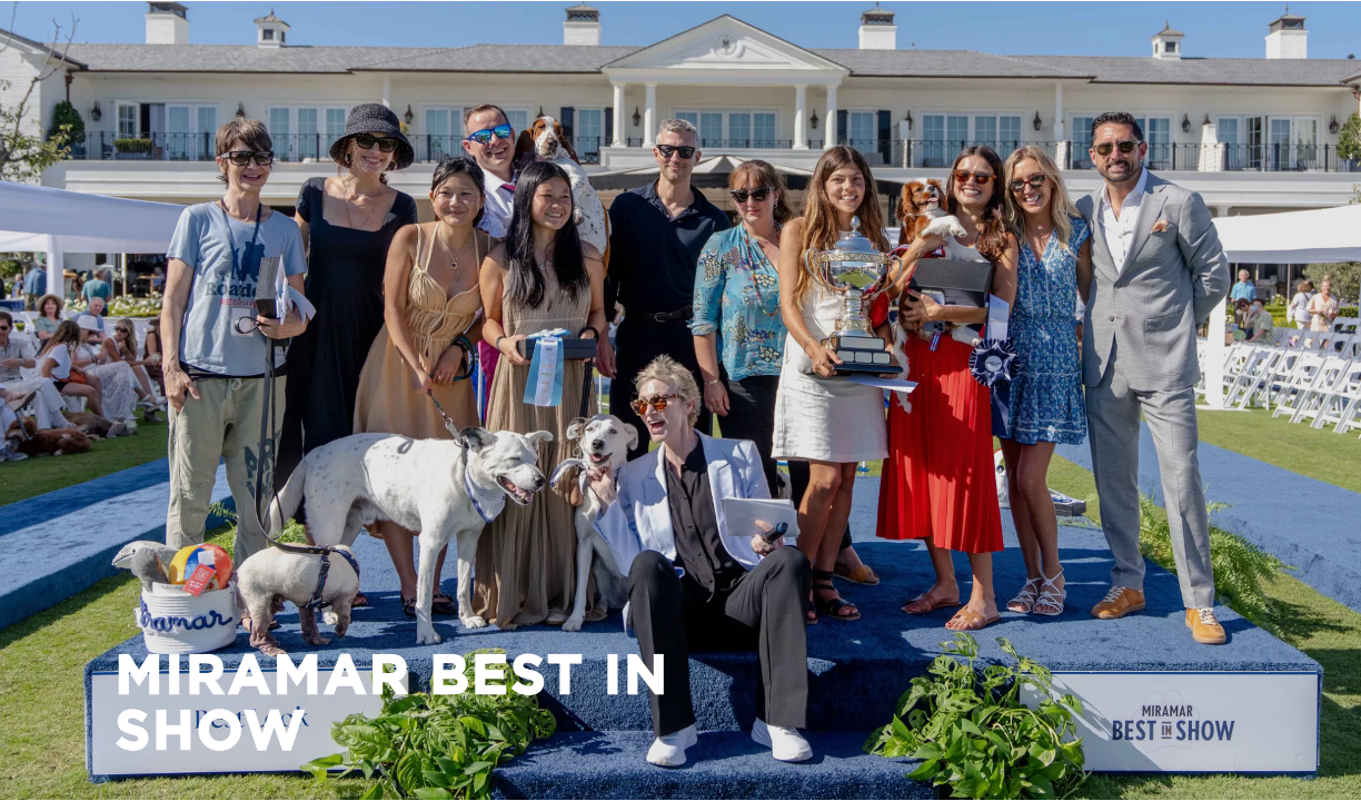 Celebrate National Dog Day at Rosewood Miramar Beach Best in Show - Caruso